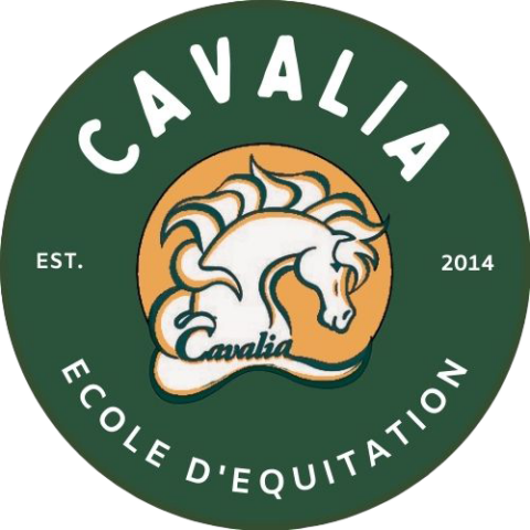 Cavalia | Horse Riding School and Trails in Mauritius